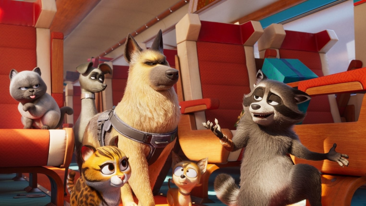 See More Movie Info