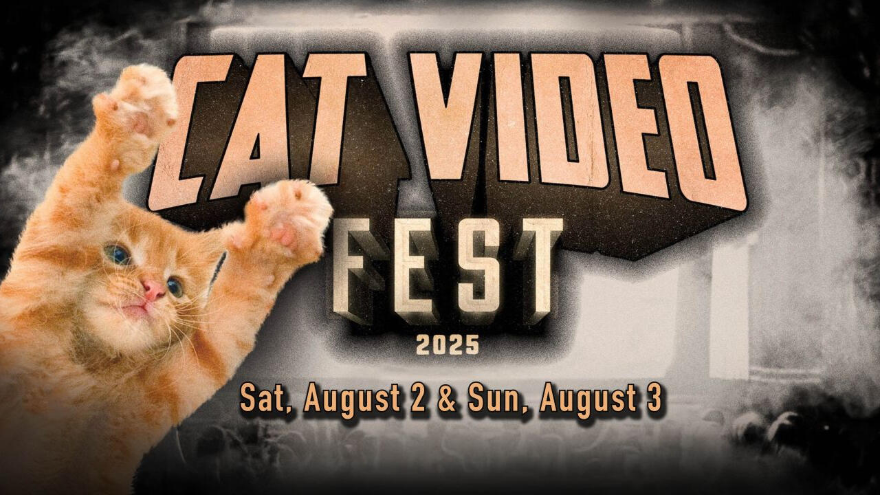 Cat Video Fest 2025